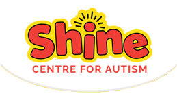 the-shine-centre | Focusondiversity.ie